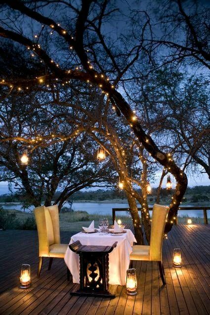 DECORACIÓN LUMINOSA ÁRBOLES NATURALES - Top Luz